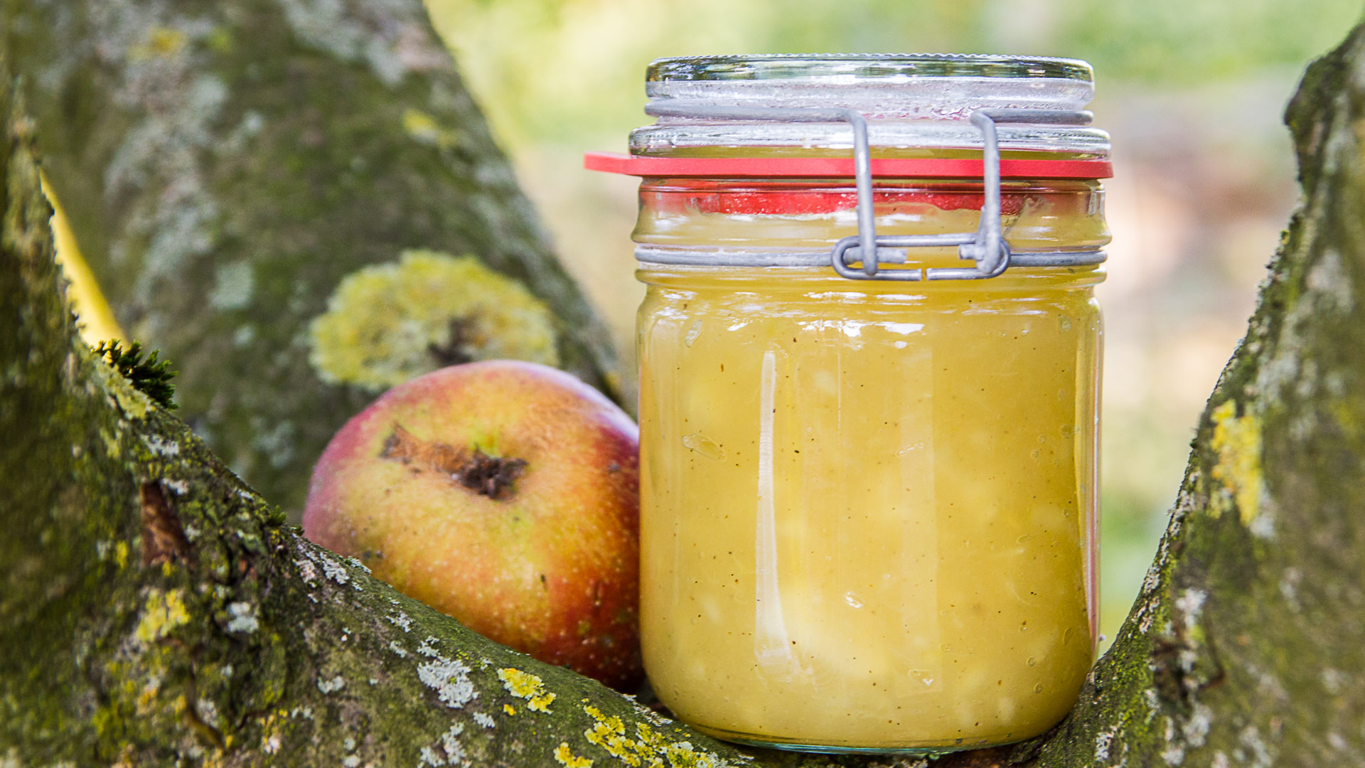 Apfelmus selber kochen - Der Bio Koch